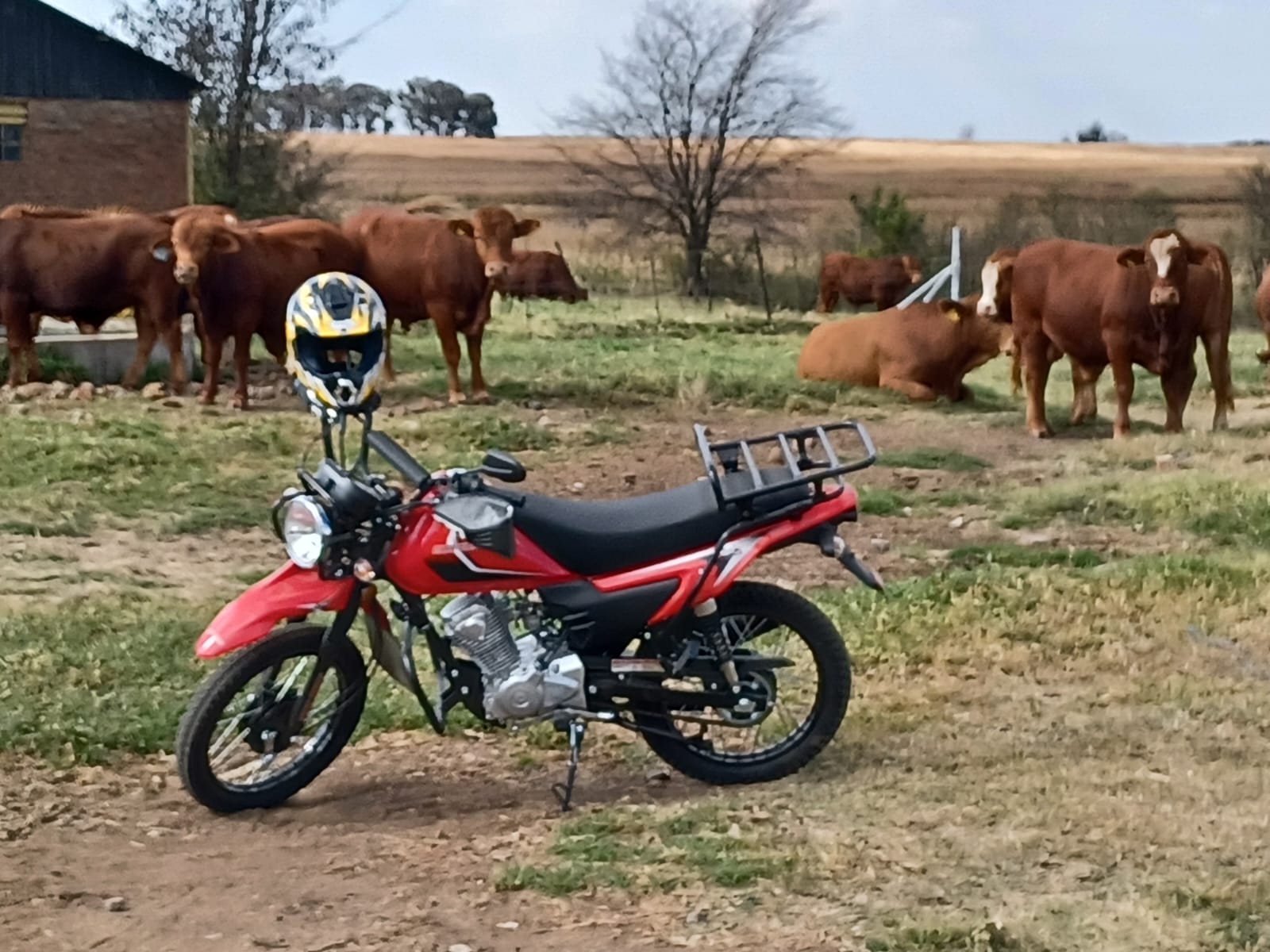 Big Boys Legend 125cc