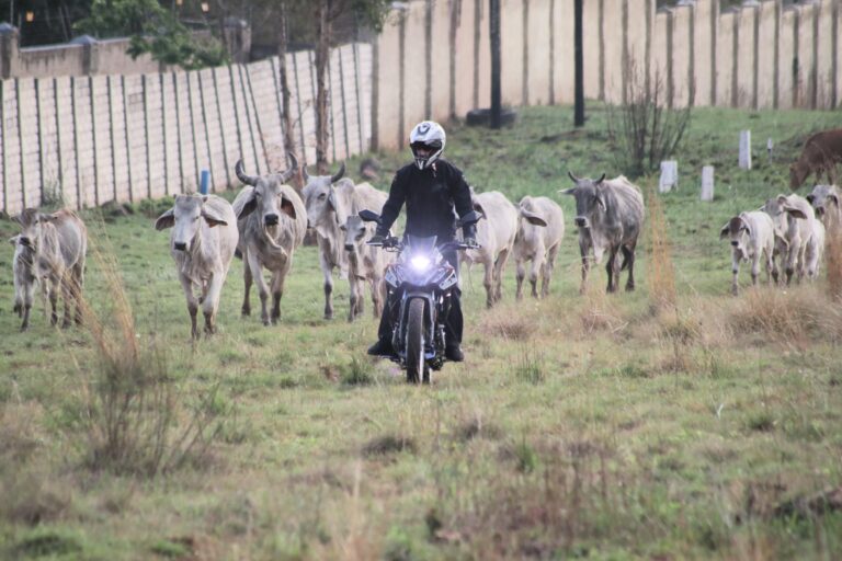 Sym NHT 200 | Entry Level Adventure Bike review | ADV Bike Sym