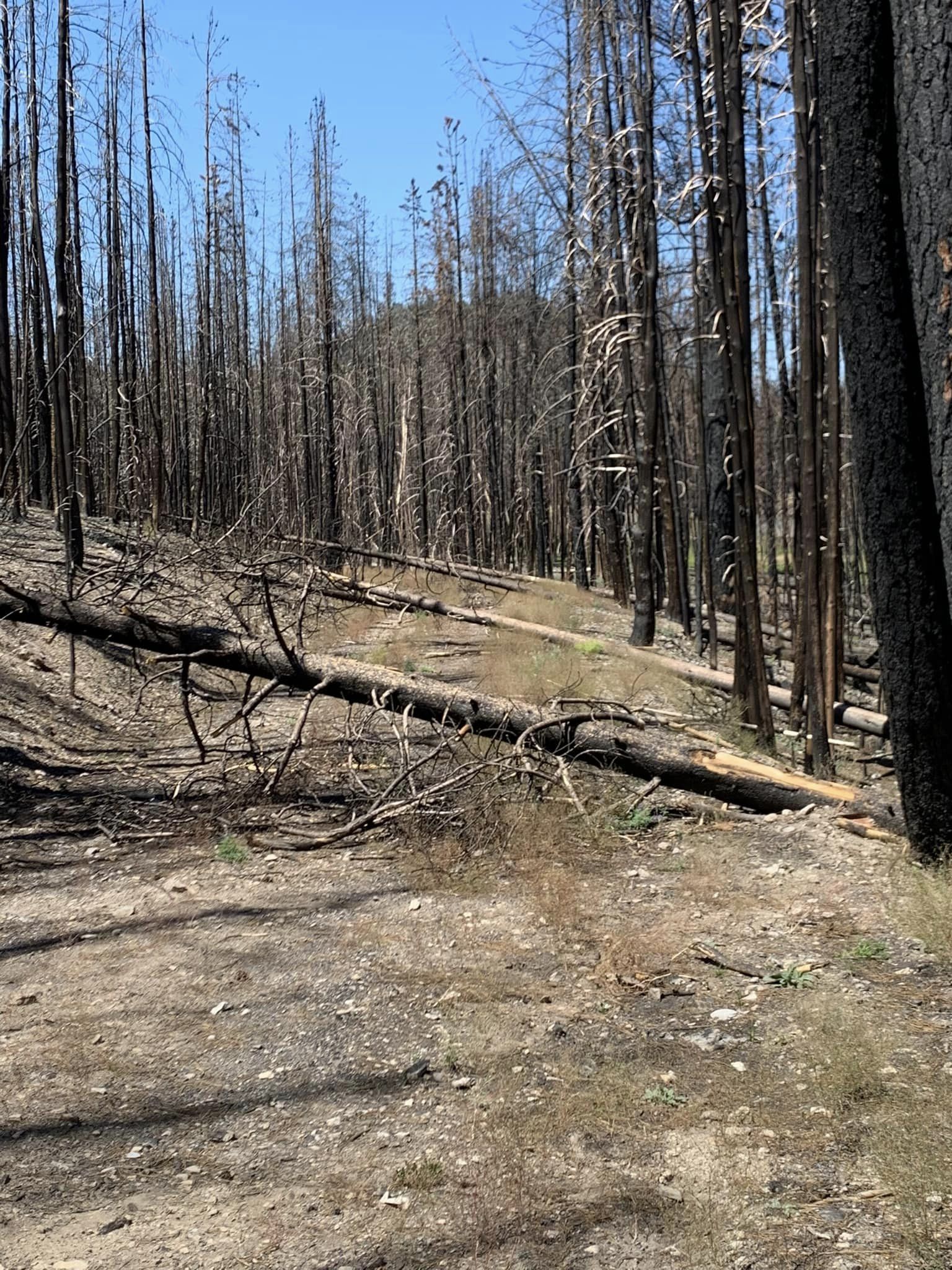 Riding The T.A.T. (Trans America Trail) | Motorcycle Adventure