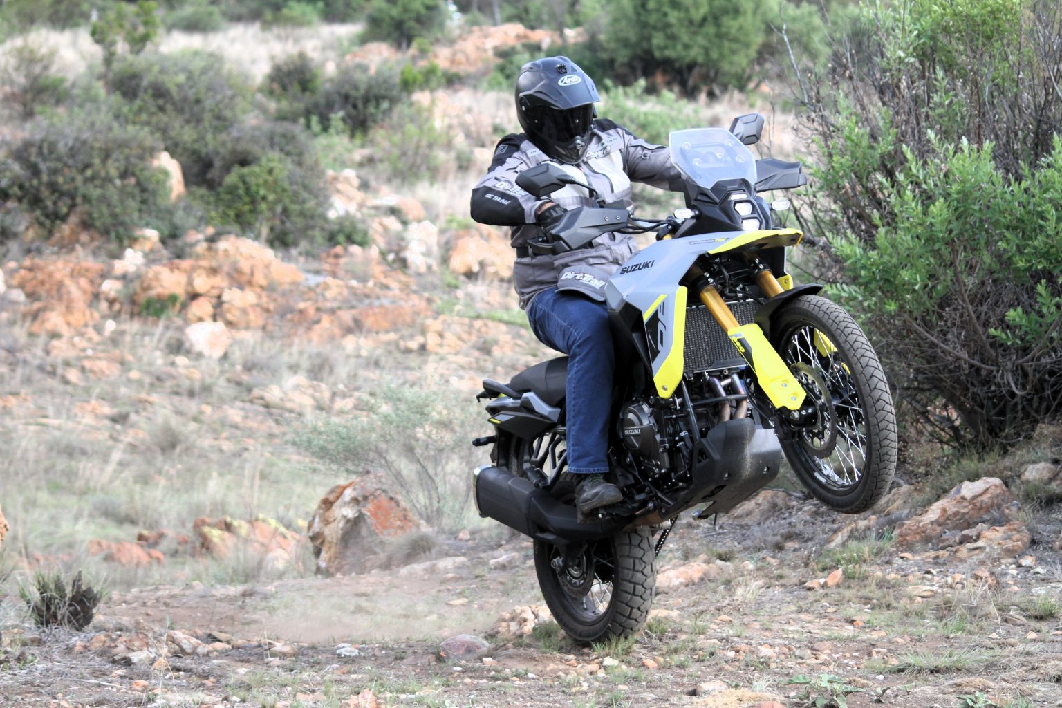 Meet The Team - Dirt And Trail Bike Magazine